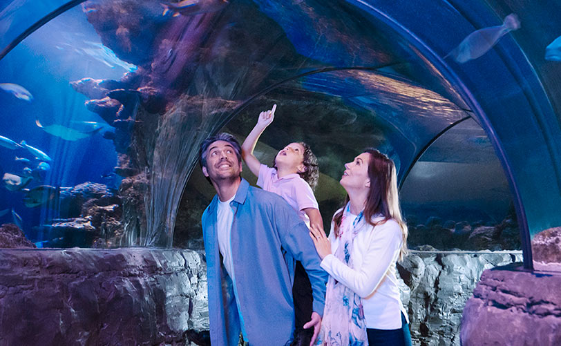 Sea Life Helsinki - Boka utflykter - Helsingfors | Viking Line