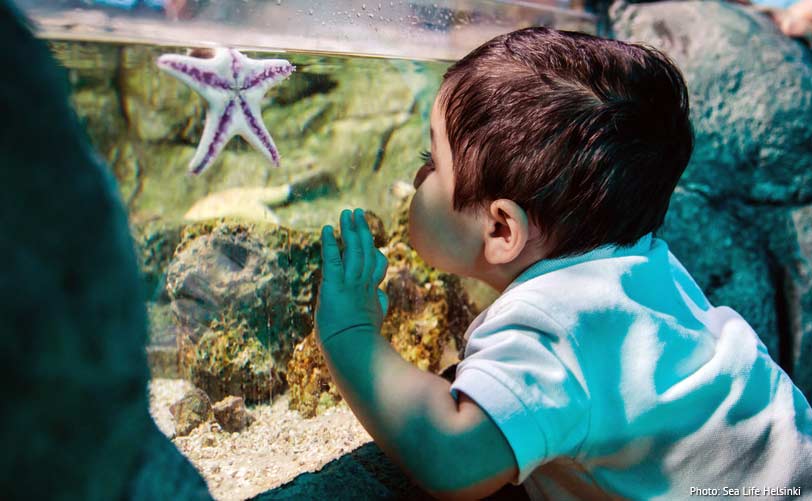 Sea Life Helsinki - Boka utflykter - Helsingfors | Viking Line