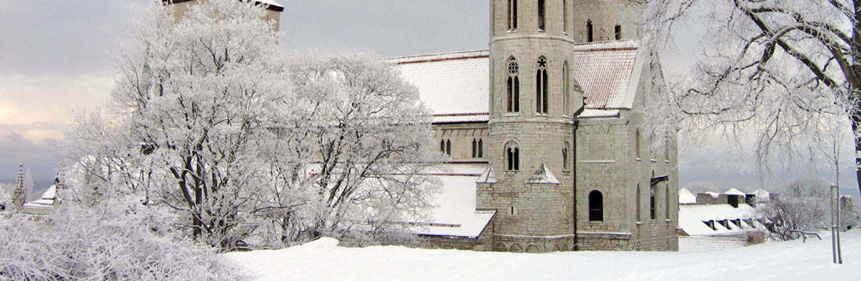 Adventskryssning till Visby lördag 20/12 2025 | Viking Line